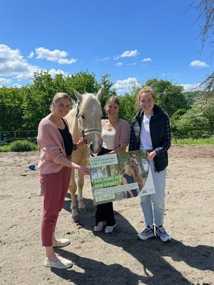 Hilfe für die Hilfe mit Pferden